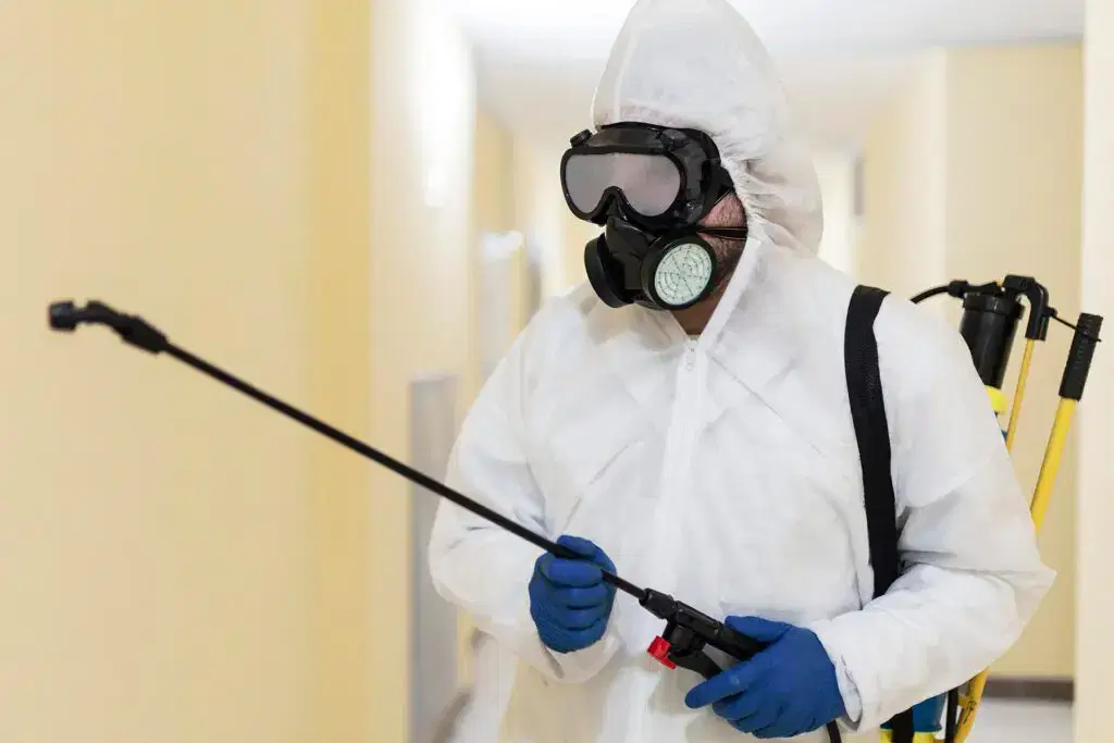 Smart Guide to Pest Control Toronto: Protecting Your Home in Every Season